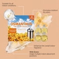 Garbage Can Odor Removal Pod Deodorizing Capsule For Kitchen Trash Bin ...