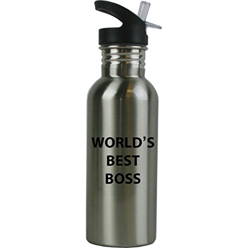 World's Best Boss Stainless Steel Sublimation Water Bottle with Straw ...