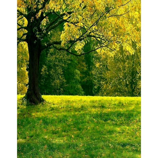 BSDHOME Polyester Nature Green Grass Tree Photography Backdrops Photo ...