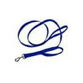 Loops 2 Double Handle 1" Nylon Dog Leash 6'-Blue - Walmart.com