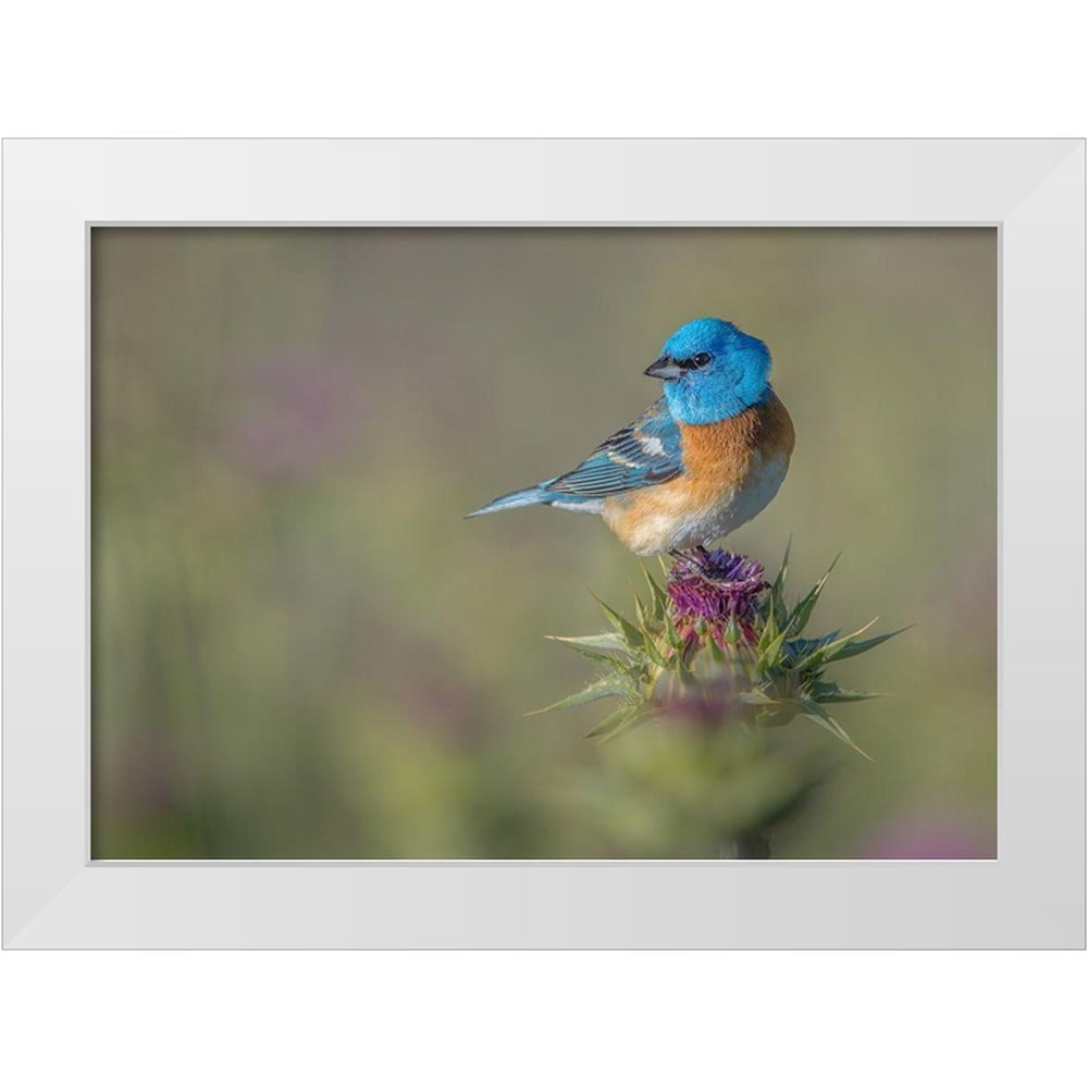 Barsh, Greg 32x24 White Modern Wood Framed Museum Art Print Titled ...