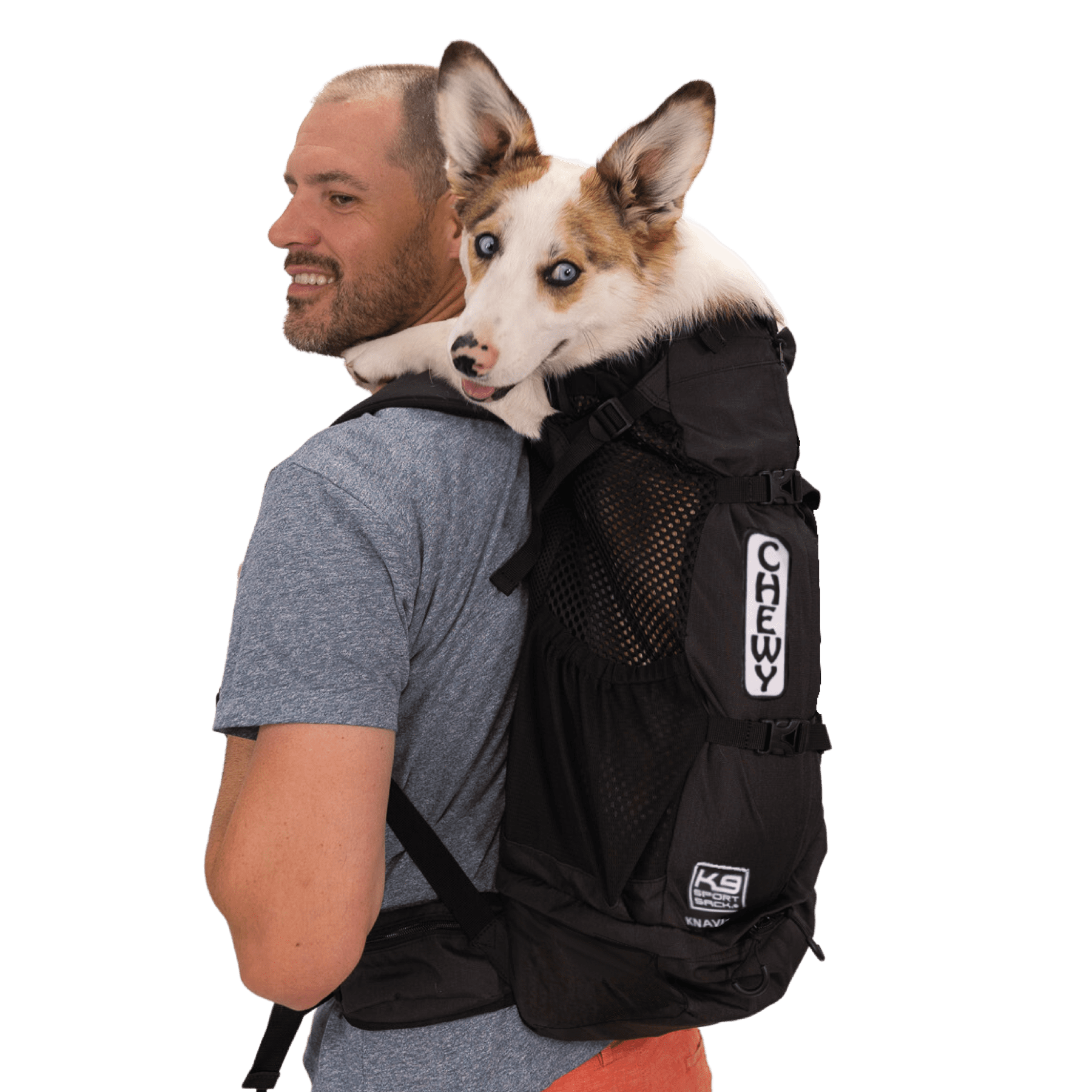 K9 Sport Sack Knavigate