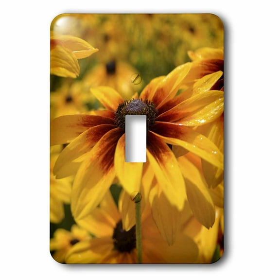 3dRose, Yellow Graduation Cap With Yellow And White Tassel Black ...