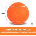 Bulk Tennis Balls for Beginner – 12 Pack High Elasticity Practice ...