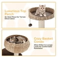 41 Inch Cat Tree for Indoor Cats, Multi-Level Tower with Scratching ...