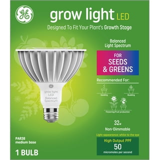 GE LIGHTING 10S6/10DC-230v GE LIGHTING 10W, S6 Incandescent Light Bulb ...