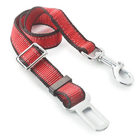 DUTCHY BRAND | Walmart Canada