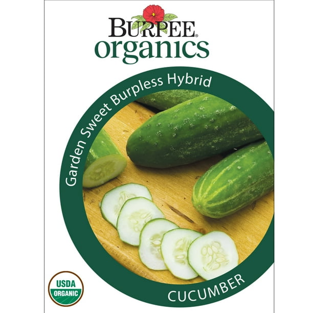 Burpee Organic Garden Sweet Burpless Hybrid Cucumber Vegetable Seed, 1 ...