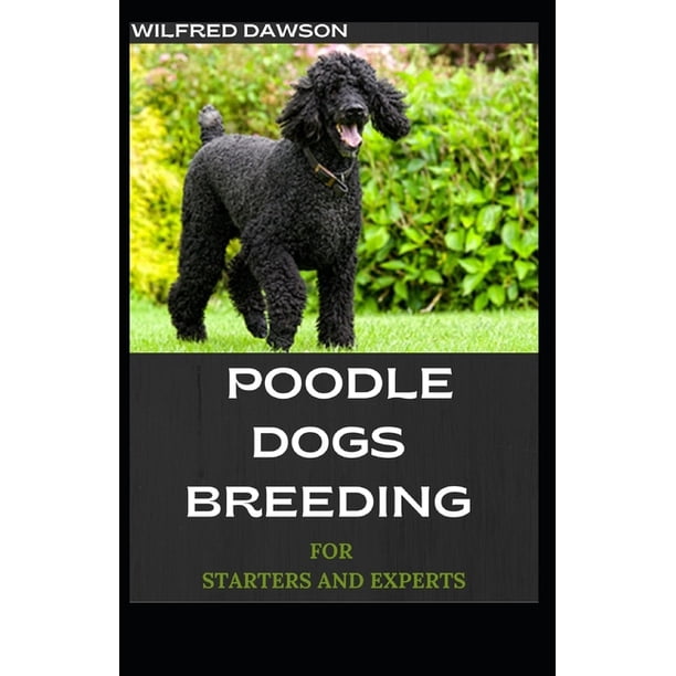 What Are The Steps To Breeding A Dog