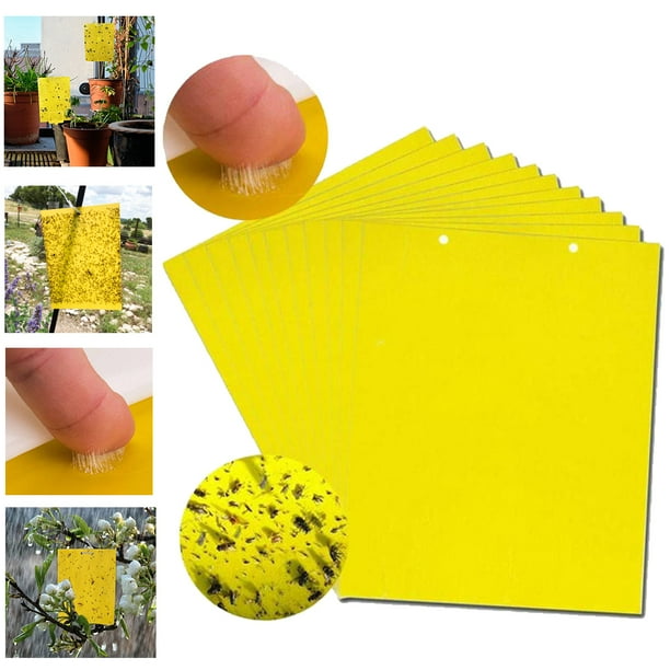 MLFU 20-Sheet Sticky Traps Yellow Sticky Traps for Gnats, Insect Sticky ...