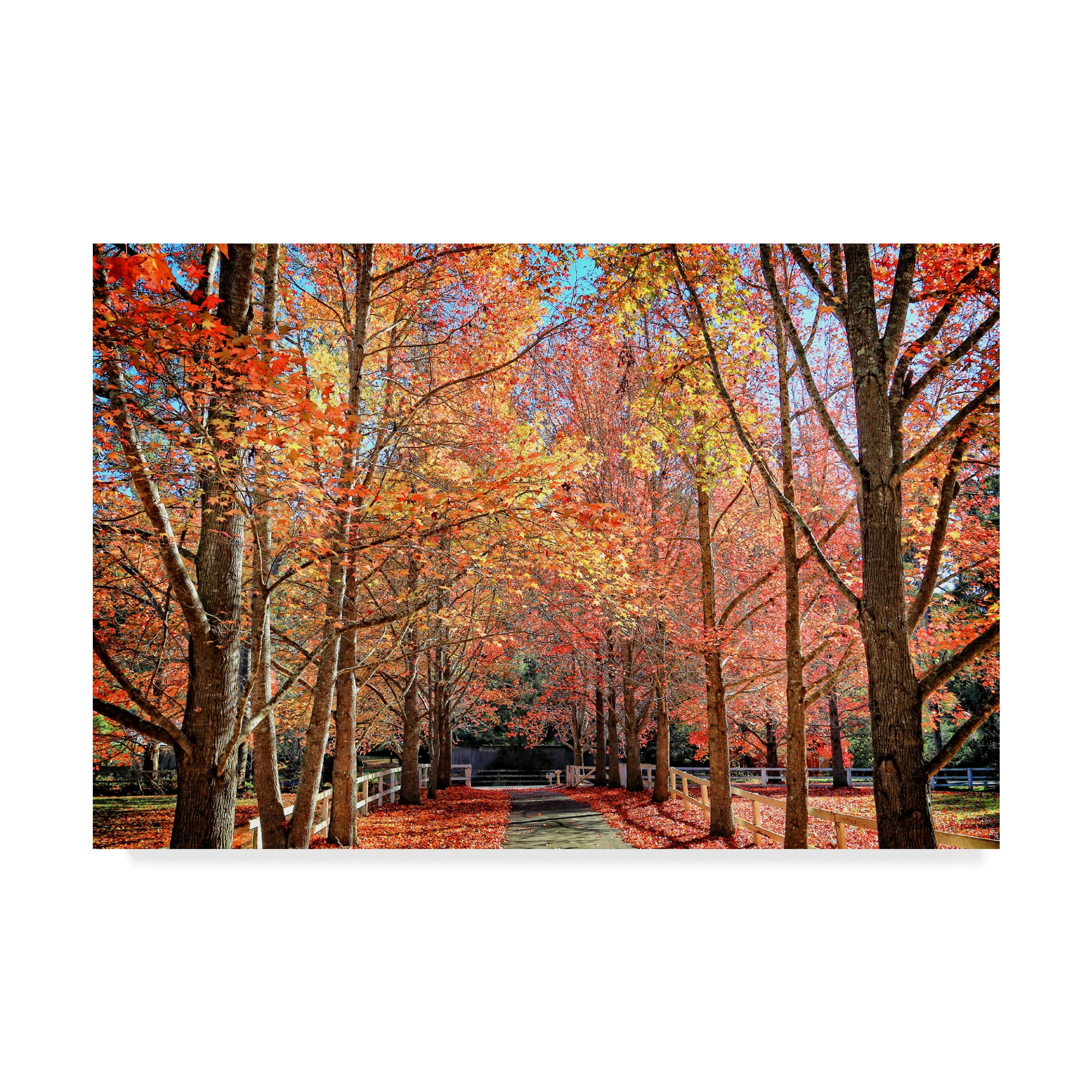 Trademark Fine Art 'Autumn Steet' Canvas Art by Beata Czyzowska Young ...
