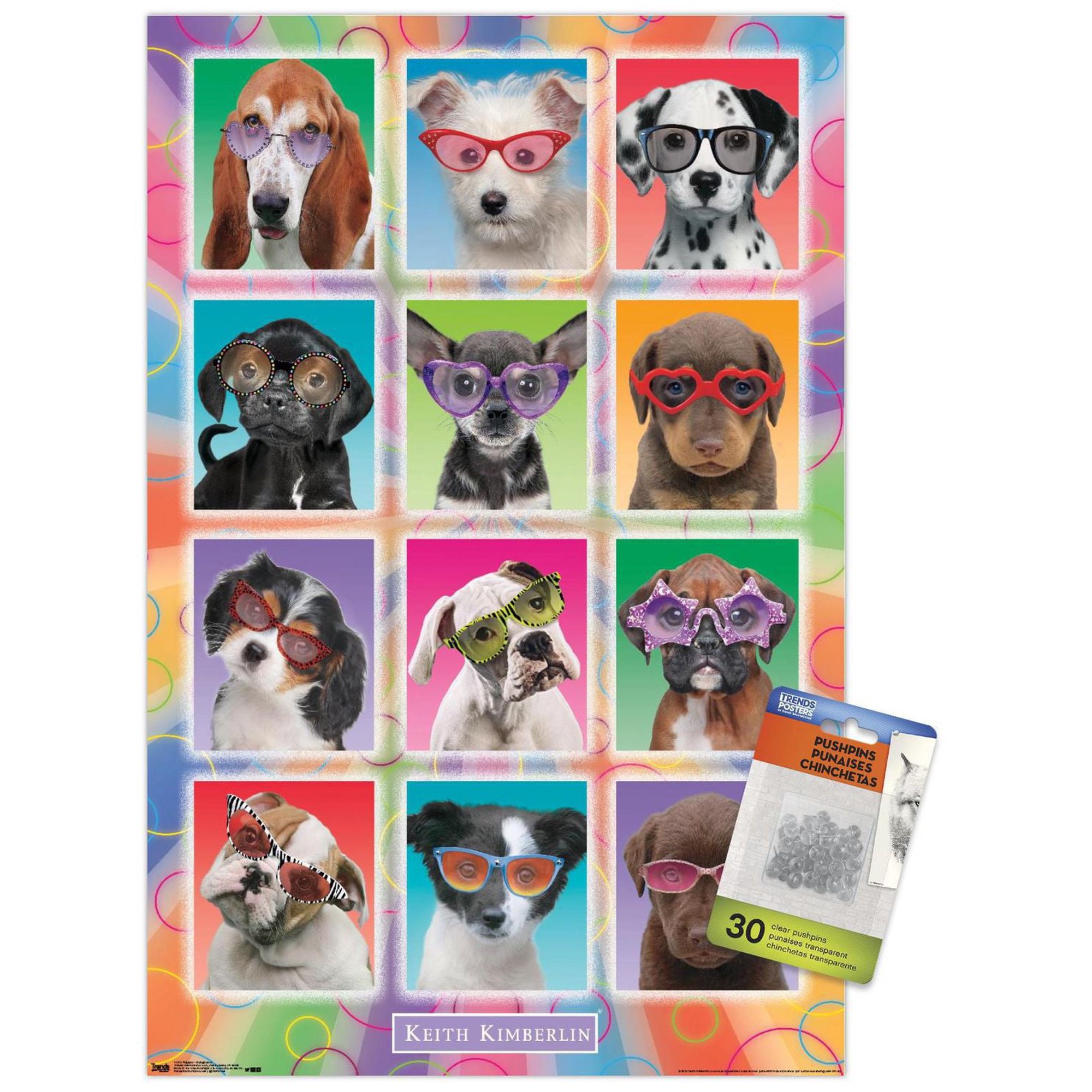 Click here for Trends International Keith Kimberlin - Puppies - S... prices