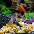 10lbs Aquarium Rocks, 5/8" Natural River Rocks for Plants Decorative ...
