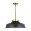 9D331A Austin Allen Oakwood - 1 Light Pendant In Urban and Industrial ...