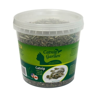 Yeowww Catnip 96500099 Cat Catnip Lady Krinkle Bug Jug - 42 Piece ...