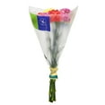Fresh Cut Rainbow Carnations, Colors Vary - Walmart.com