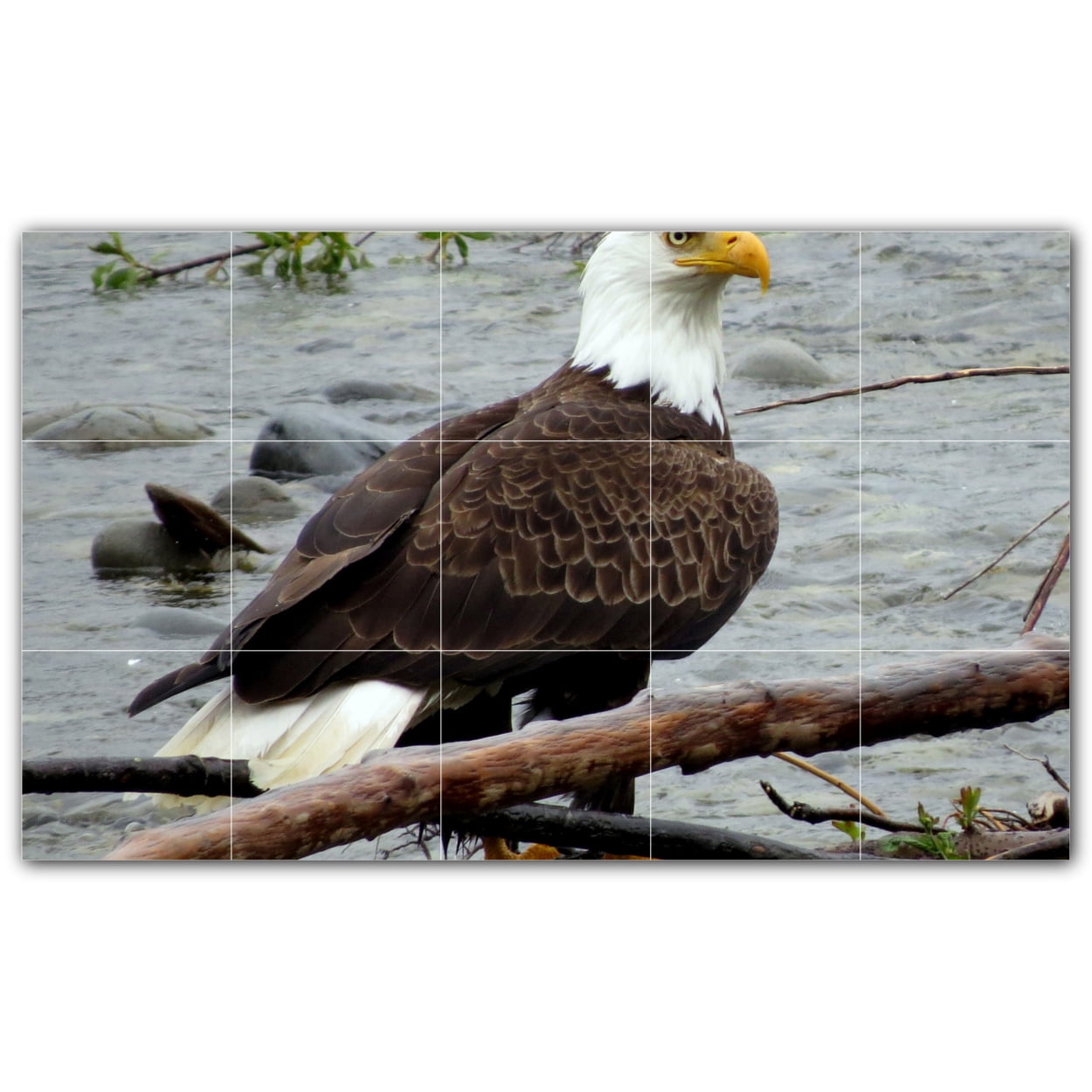 Picture-Tiles.com: Bird Ceramic Tile Wall Mural WAL500171-53XL. 60"W x ...