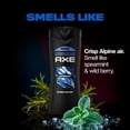 AXE Body Wash Moisturizing Phoenix Paraben-Free & Sulfate-Free, 16 fl ...