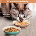 Cat Bowls, Ceramic Cat Food Bowl Set with White Silicone Ring for Non ...