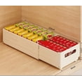 2 Pack Expandable Plastic Storage Boxes, Multi-Purpose Folding ...