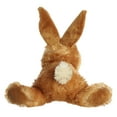 Aurora - Mini Flopsie - 8" Bitty Bunny Plush - Walmart.com