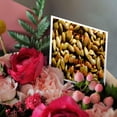 3drose, Image of Words Crazy for Pumpkin Seeds on Photo of Them, 6 ...