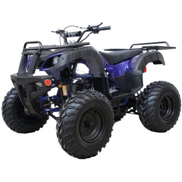 Coolster 120cc Fully Automatic Mini Sized ATV LANDER XD-125UF - Walmart.com