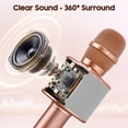 Rose Gold 3-in-1 Portable Handheld Karaoke Machine for Home Party ...