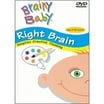 Brainy Baby English Preschool DVD - Learning First Words, Colors ...