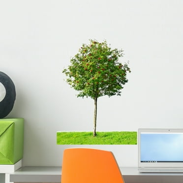 Apple Tree White Wall Mural by Wallmonkeys Peel and Stick Graphic (24 ...