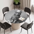Cat Round Fitted Table Cover Toilet Paper Funny Animal Waterproof Table ...