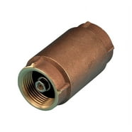 Flotec FP7120 Vertical Pre-Charged Pressure Water Tank, 35 Gallon ...