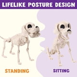 Joyfy 9.8 Inch Halloween Skeleton Dog Skeleton Halloween Decor,Pose-N ...