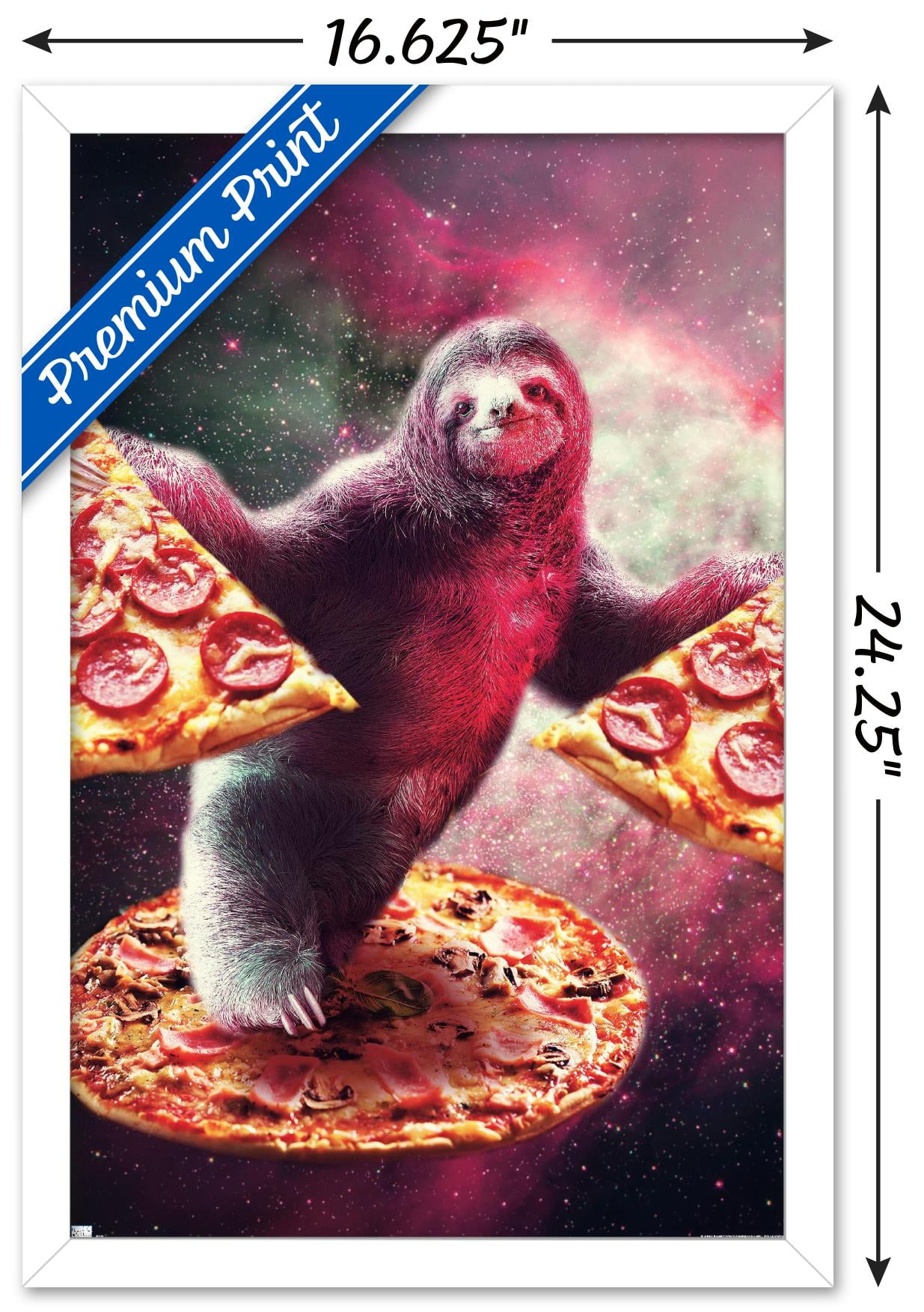 Space Sloth Cover Photo