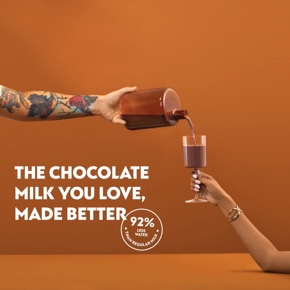NotMilk Chocolate Plant-Based Milk, Shelf-Stable, Lactose-free, Vegan ...