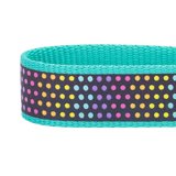 Blueberry Pet Magic Rainbow Color Reflective Polka Dot Holo Dog Collar ...