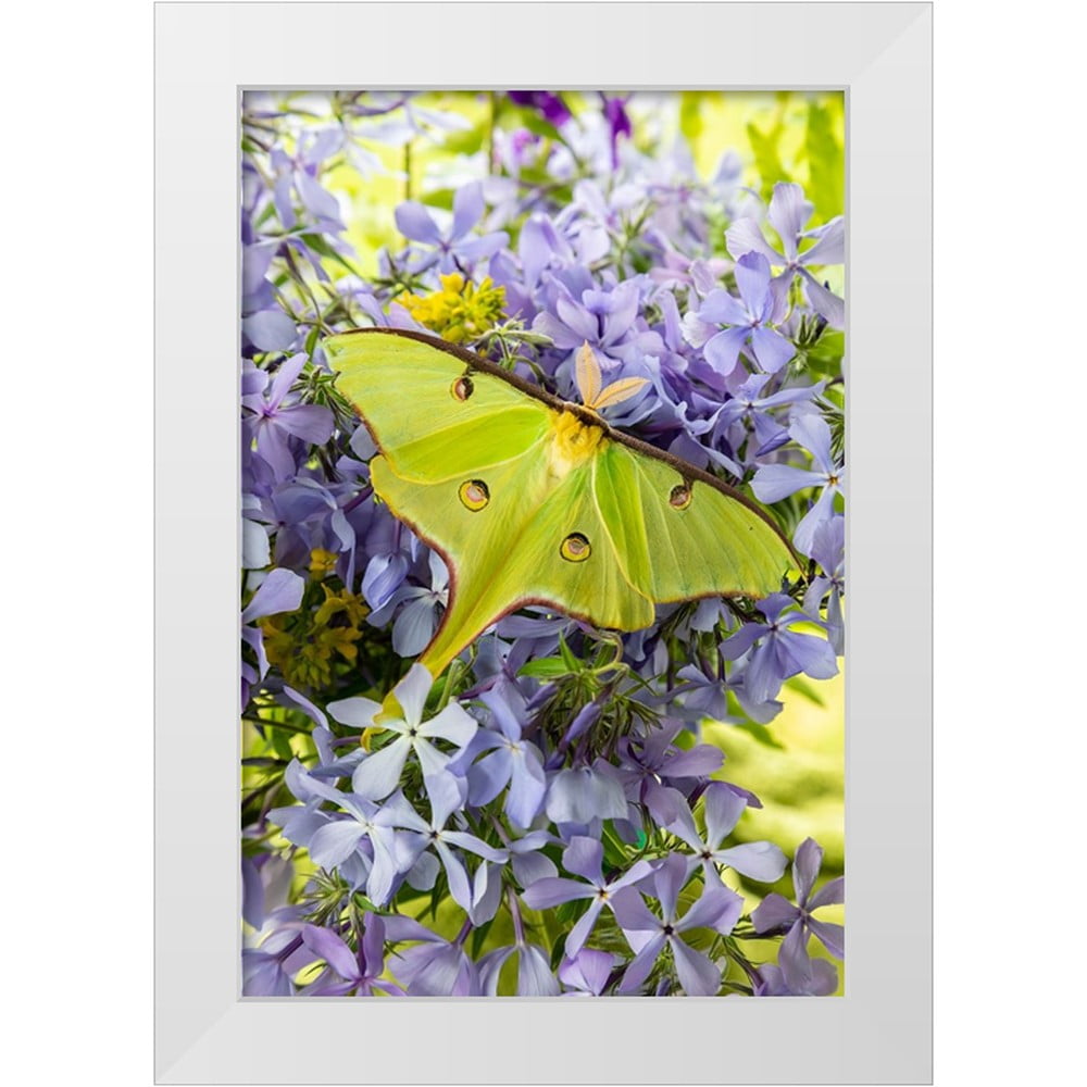 Day, Richard and Susan 17x24 White Modern Wood Framed Museum Art Print ...