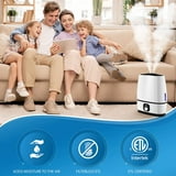 Everlasting Comfort 6L Cool Mist Humidifier for Bedroom Filterless ...