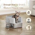 High Sided Litter Box for Kitty, Stainless Steel Cat Litter Box with ...