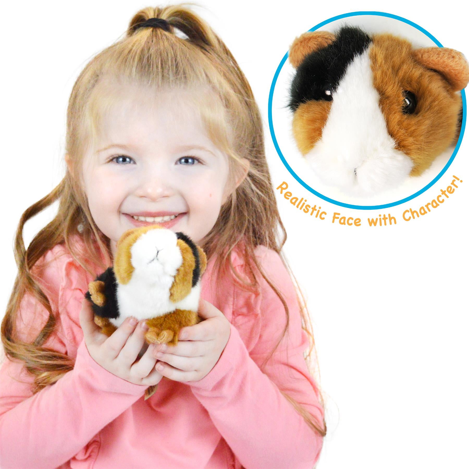Buy Gigi the Guinea Pig | 6 Inch Stuffed Animal Plush | By Tiger Tale ...
