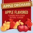 Motts Fruit Flavored Snacks, Apple Orchard, Gluten Free Snack, Family ...