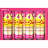 Topo Chico Sparkling Mineral Water with Raspberry and Lemon Cans 12 fl ...
