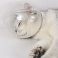 Adjustable Cats Muzzle Safety Clear Plastic Headcover For Small Dog ...