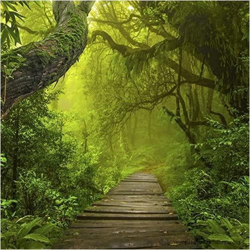 aquarium terrarium backgrounds main (rainforest jungle with walkway, 16 ...