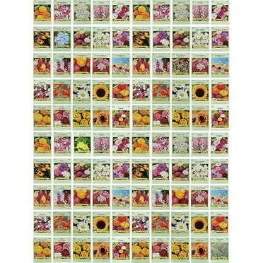 Deluxe Set of 25 Flower Seed Packets - 10 High Germination, Non-GMO ...