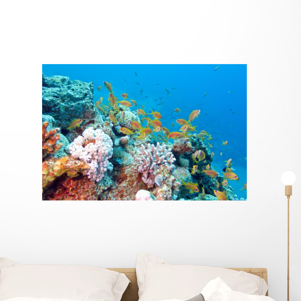 Coral Reef with Shoal Wall Mural Decal Sticker, Wallmonkeys Peel ...