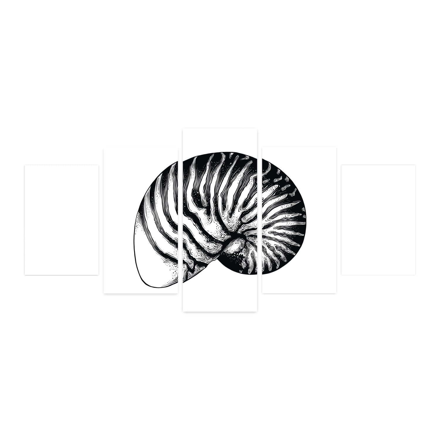Chambered Nautilus Tattoo
