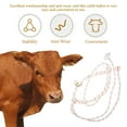 Cattle and Sheep Management Cage Bold Lanyards Cow Halter Protector ...