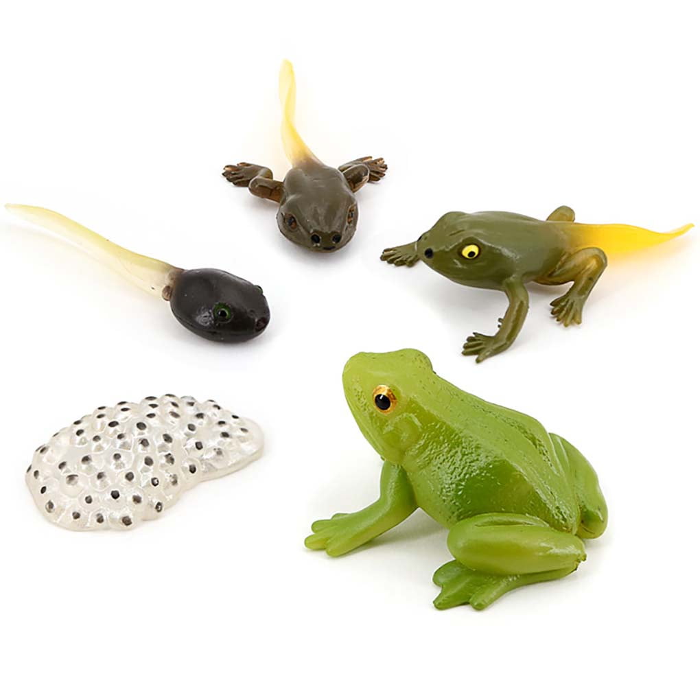 TureClos Artificial Animal Growth Display Figures Set Plastic Models ...