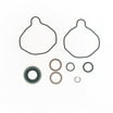 Edelmann 70018 3/8 Power Steering Cap Seal (Captive Seal .370 ID x .30 ...